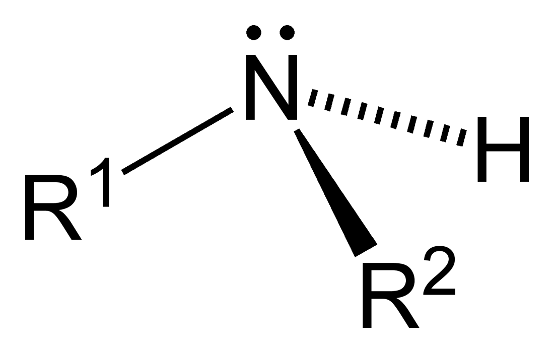 Lý thuyết amin: tính chất vật lí, tính chất hóa học, điều chế